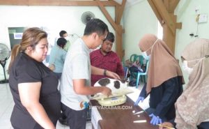 Jelang World Rabies Day 2025, Dinas Pangan dan Pertanian Sidoarjo Gelar ...